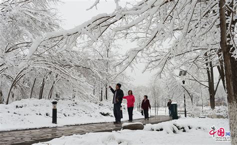 延庆迎北京最大降雪 出现雾凇景观 中国网