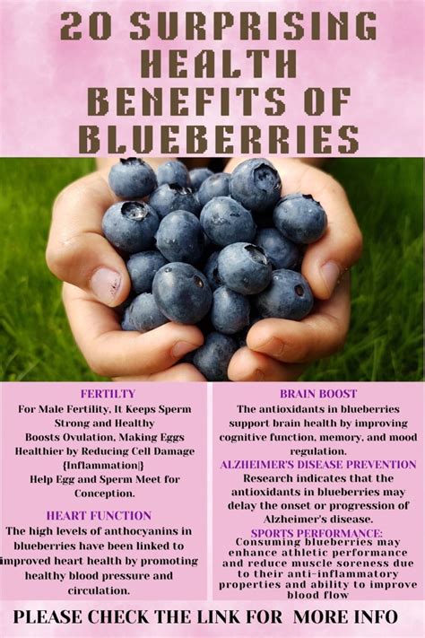 20 Surprising Health Benefits Of Blueberries Artofit