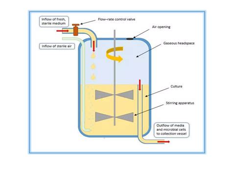 Fermentation Types Pptx