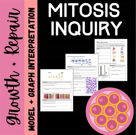 Mitosis Inquiry Activity Growth And Repair By Biology With Brynn And Jack