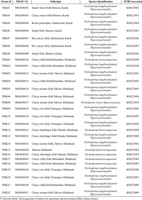 Molecular Identification Of Trichoderma Spp Based On Amplification And Download Table