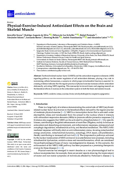 Pdf Physical Exercise Induced Antioxidant Effects On The Brain And