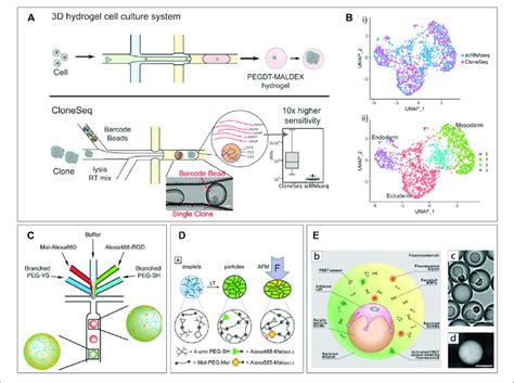 Single Cell Applications A Cloneseq Platform Single Cells Are