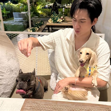Were Frenchiedachshieand Pompom🐶 Bellytinygummy • Instagram Photos