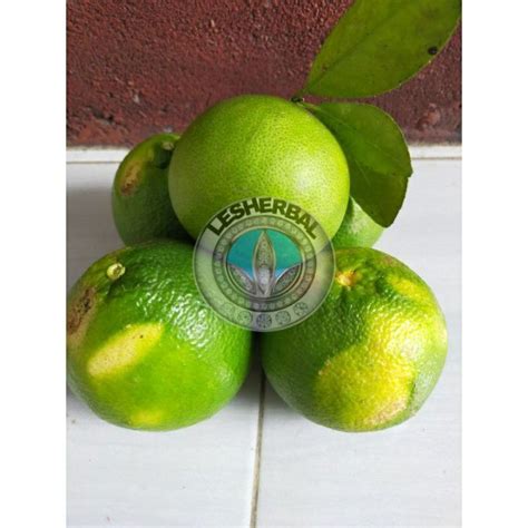 Jeruk Bali Mini Segar 1kg Lazada Indonesia