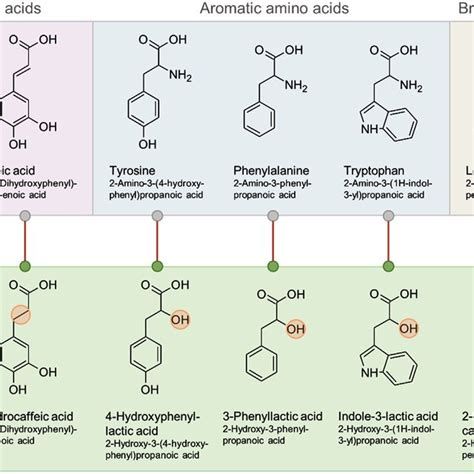 Structures Of The Seven Metabolites Commonly Produced In The Download Scientific Diagram