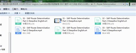 国外顾问英语授课 2021年5月SAP Logistic Execution培训视频教程 共9个章节 40个讲座 时长5 3小时视频配套英文字幕 开源资料库