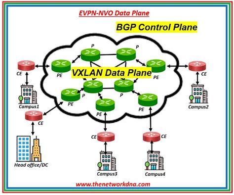 Understanding EVPN Data Plane The Basics The Network DNA