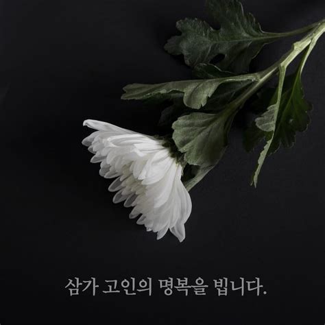 울산문화관광재단 울산문화관광재단 아르코공연연습센터울산 생활문화동호회 쇼케이스 공연 및 전문예술인 초청 워크샵 추진 재