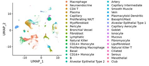 Analysis Of Image Based Spatial Data In Seurat • Seurat