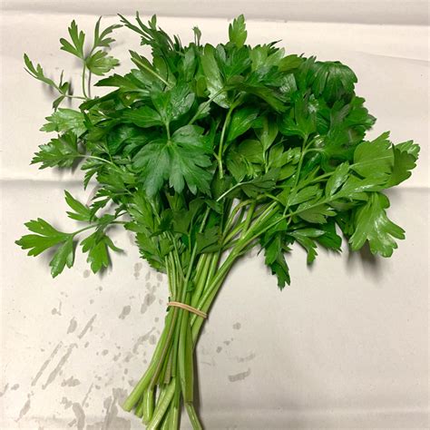 Flat Parsley Brians Best Organics