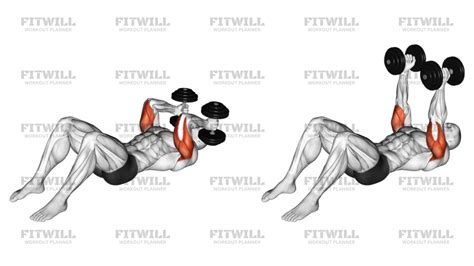 Dumbbell Lying Floor Skull Crusher Exercise Guide Video Techniques