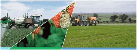 Disease Control Assignment Help Agriculture Assignment Writing Service