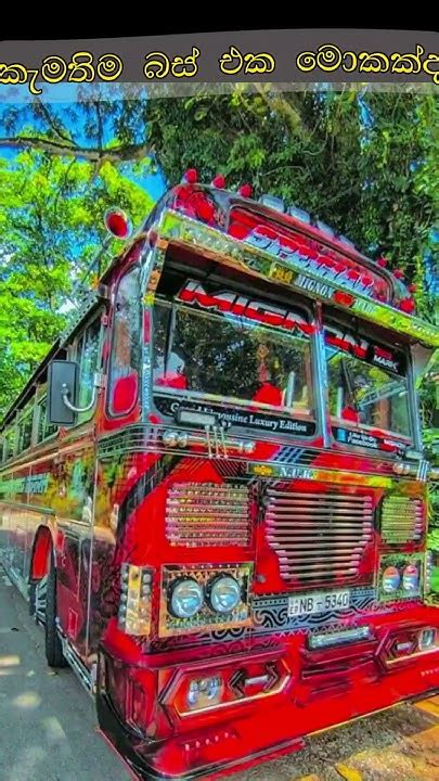 ඔයා කැමතිම Vip බස් මොකක්ද 😍 Shorts Bus Automobile Srilanka Slbus