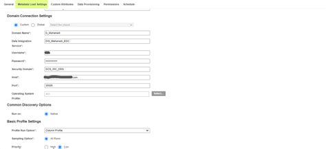 Custom Metadata Scan And Profiling