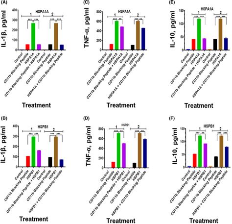 Exogenous Heat Shock Proteins Hspa1a And Hspb1 Regulate Tnf‐α Il‐1β