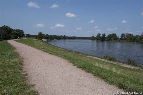 Elbe zwischen Dessau und Roßlau