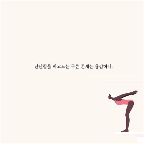 도서출판 다연 혼자 있는 시간에 익숙해질 때 4 삶에서 때로는 무른 존재들이 단단함보다 더한