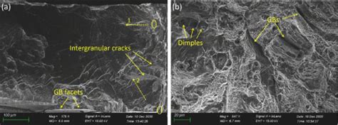 Fractography Of Specimen A 3 600 • C And 310 Mpa A Crack Initiation