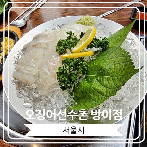 오징어선수촌 방이점 리모델링으로 더욱 깔끔해진 방이동 먹자골목 횟집 네이버 블로그