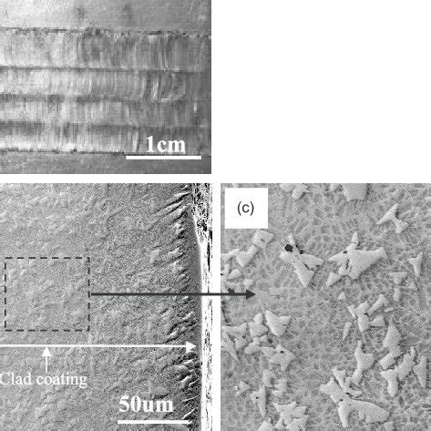 The Microstructure Of Cladding Coating A The Top View Of The Sample Download Scientific