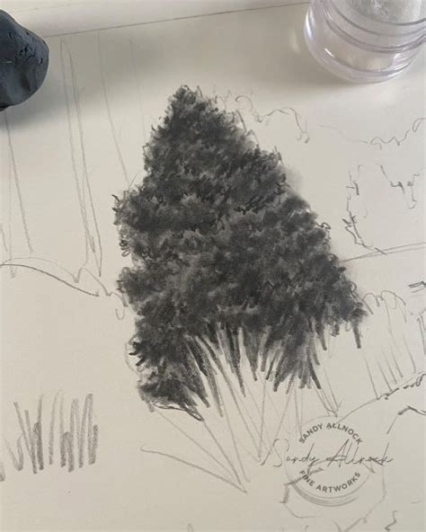 TIPS To Draw Better Plants Trees Sandy Allnock