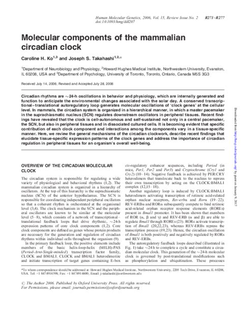 Pdf Molecular Components Of The Mammalian Circadian Clock