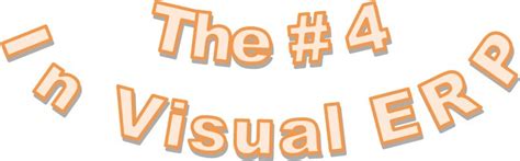 What Is The Most Common Of Visual Erp