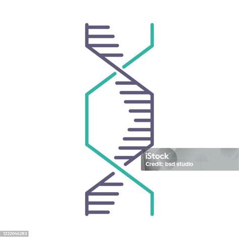육각 형 Dna 나선 보라색과 청록색 색상 아이콘 데옥시리보핵 핵산 구조 나선형 가닥 염색체 분자 생물학 유전 코드 게놈 격리