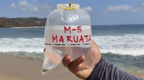 Lista De 14 Playas No Aptas Para Nadar En El País Cofepris Unotv