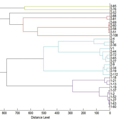 dendrogram analysis showing taxonomical clustering of 32 bacterial