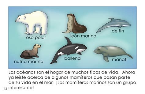 Mamiferos Acuaticos
