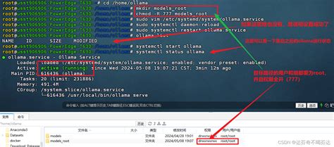 Ollama模型下载路径替换！靠谱！（linux版本） Csdn博客