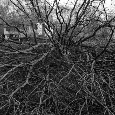 Stream Gate To Midi Rhythms Patch Edit By Jake Elliott Listen Online For Free On Soundcloud