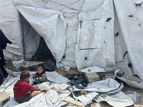 Yafa من ساعة ما رجعت أمشي بشوارع غزة وأنا كل يوم بتفرّج على المدينة