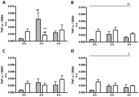Tnfα Mrna Expression Of 3t3 L1 Preadipocytes Hatched Bars And