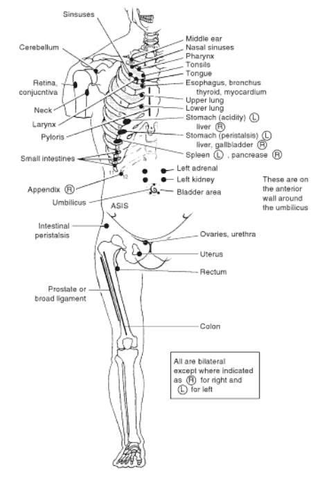 Chapmans Reflexes Points Chapmans Pediatric Medicine Acupressure Treatment