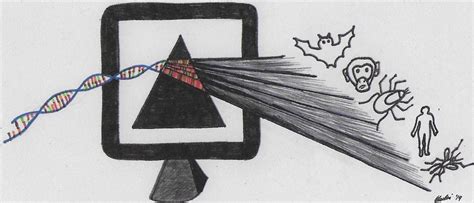 Viral Host Predictor