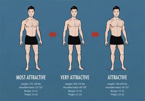 Male Body Types Ideal Male Body Male Model Body Workout Challenge