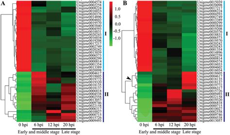 Heatmap Showing The Expression Abundance Of The Prevalent Shared Degs