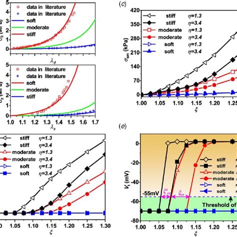 Biaxial Tensile Stress Versus Strain Curves Of Soft Moderate And