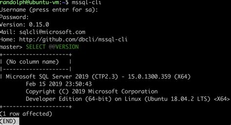 Does SQL Server 2019 Run On Ubuntu 18 04 LTS Born SQL