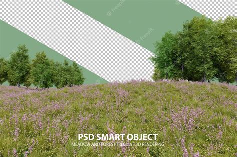 Premium Psd Realistic Meadow And Forest Tree Line 3d Rendering Of Isolated Objects