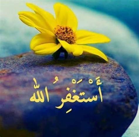 ئامۆژگاری موسڵمانان