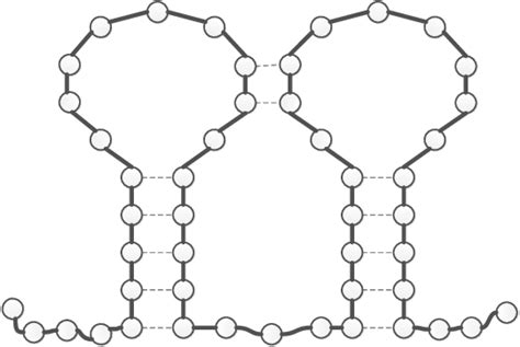 Figure 1 2 From Predicting Rna Secondary Structure Using A Stochastic Conjunctive Grammar