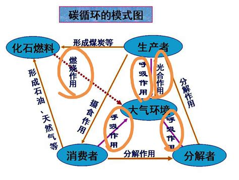 为何环保人士对二氧化碳的关注远甚于对其他有毒污染物的关注，所谓低碳生活，能解决水污染和毒气么？ 知乎