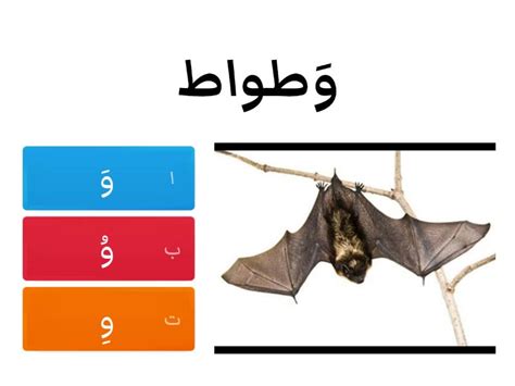 حرف الواو مع الحركات اختبار تنافسي