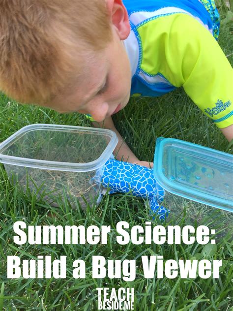 Summer Science Build A Bug Viewer Teach Beside Me