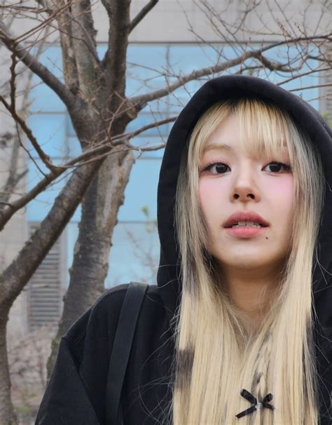 트와이스 촬스의 이슈와 유머