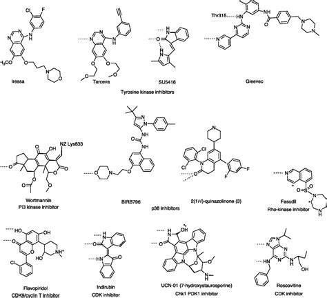 Tyrosine Kinase Structure
